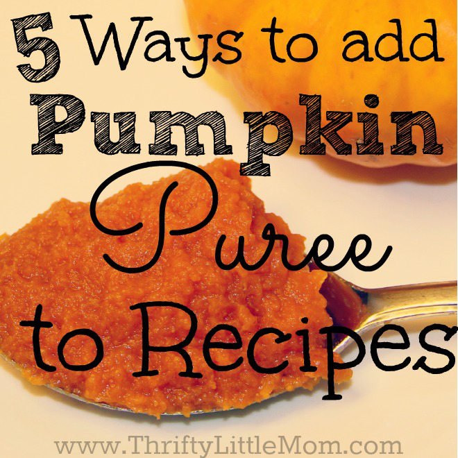 5 Ways To Add Pumpkin Puree to Recipes » Thrifty Little Mom