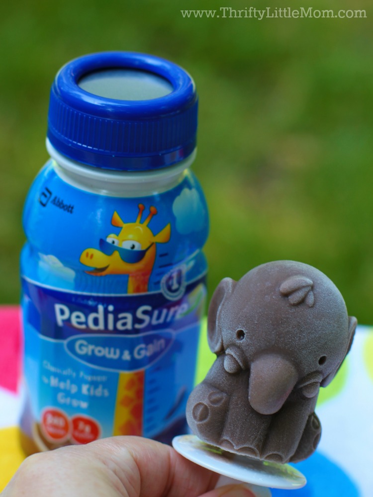 Kid's Creamy Chocolate Ice Pops Recipe » Thrifty Little Mom