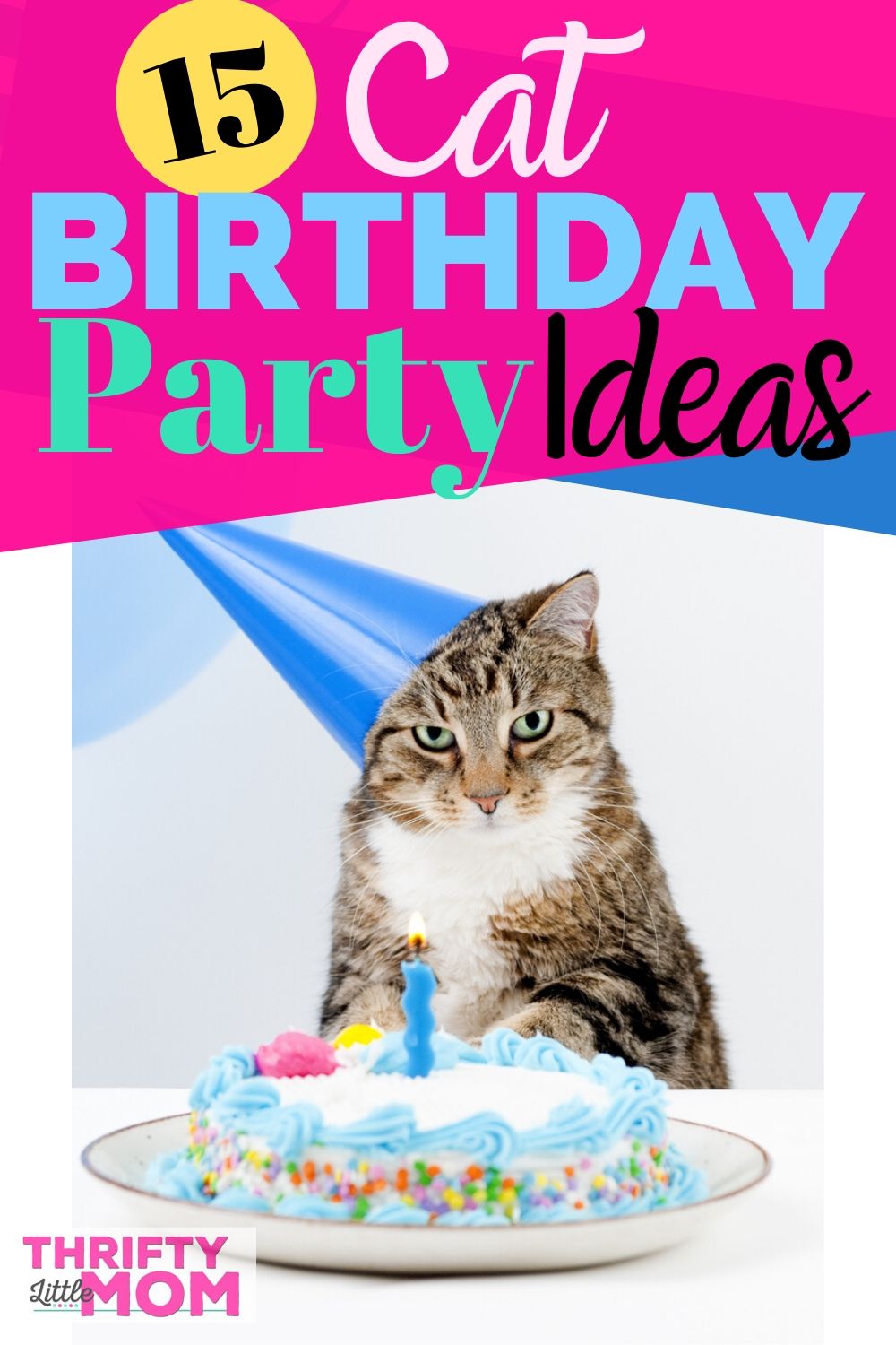 15 Purr-fect Cat Birthday Party Ideas » Thrifty Little Mom
